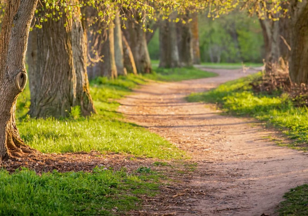 CICOA Aging & In-Home Solutions | Indianapolis, IN